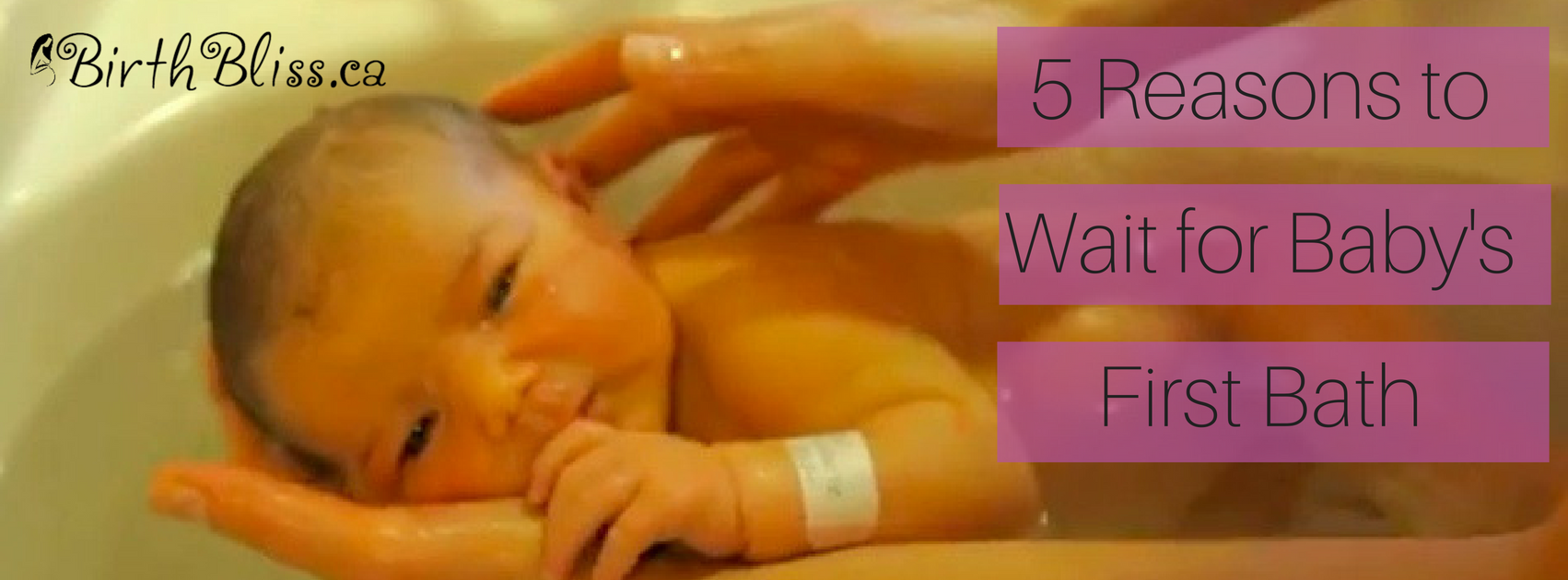 Baby’s First Bath - Bump, Birth, Beyond: Pregnancy and Postpartum ...